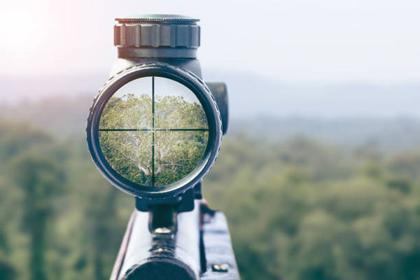 Mastering Precision: Introduction to Selecting a Rifle Scope Reticle ...