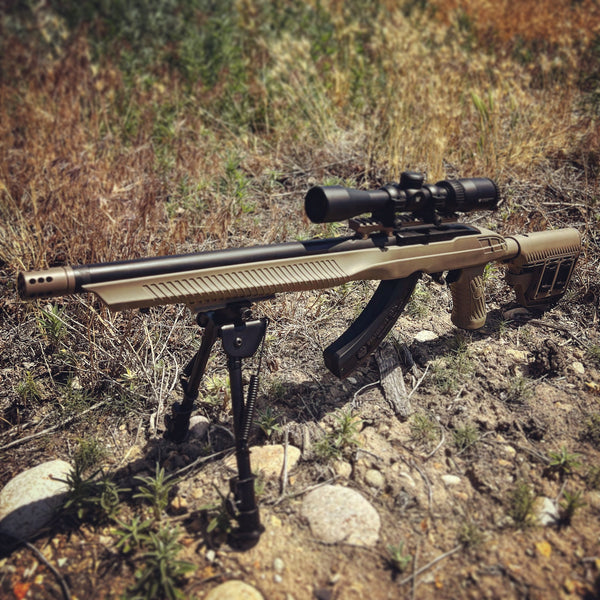 7 Fun Springtime Ruger 10/22 Shooting Range Games for Youth Shooters ...